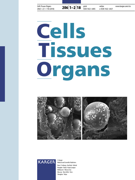Vimentin-Induced Cardiac Mesenchymal Stem Cells Proliferate in the ...