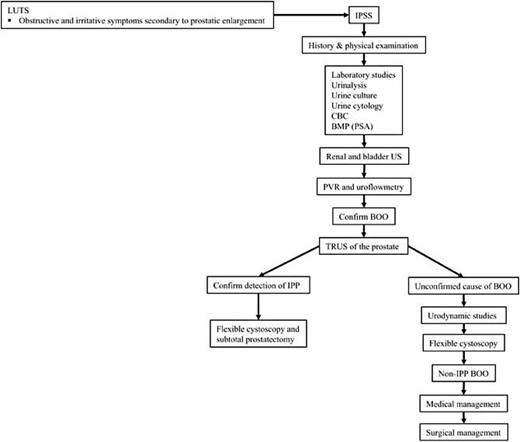 Clinical Considerations for Intravesical Prostatic Protrusion in the ...