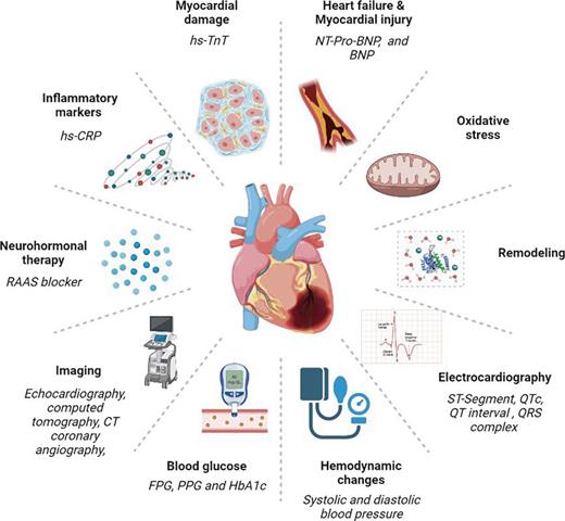 Cardiometabolic Guidelines: Cardiovascular Risk Assessment and ...