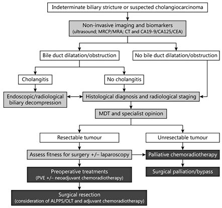 Update on the Management of Cholangiocarcinoma | Digestive Diseases | Karger Publishers