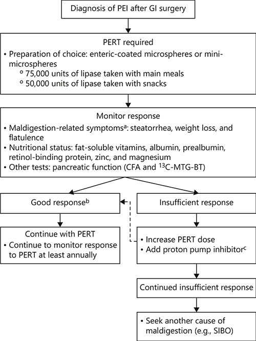 Pancreatic Exocrine Insufficiency as a Complication of Gastrointestinal ...