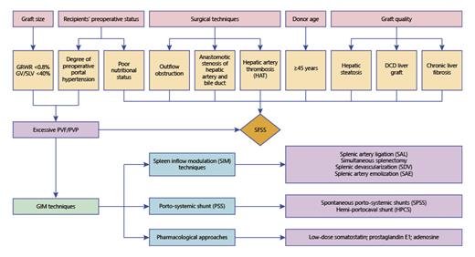 Small-For-Size Syndrome and Graft Inflow Modulation Techniques in Liver ...