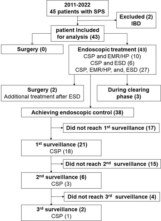 Feasibility and Safety of Endoscopic Control for Patients with Serrated ...