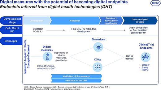 Why Language Matters in Digital Endpoint Development: Harmonized ...