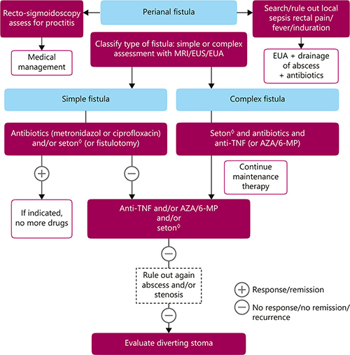 Treatment Algorithms for Crohn’s Disease | Digestion | Karger Publishers