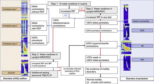 Esophageal Motility Disorders: Diagnosis and Treatment Strategies ...