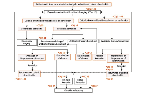 Guidelines for Colonic Diverticular Bleeding and Colonic Diverticulitis ...