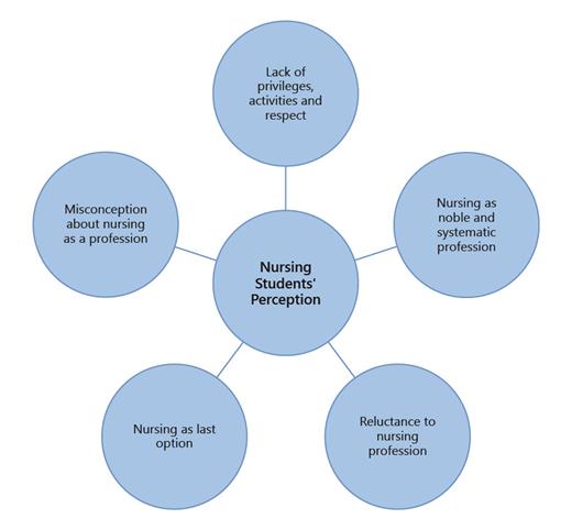 Perception and Experiences of Undergraduate Nursing Students on ...