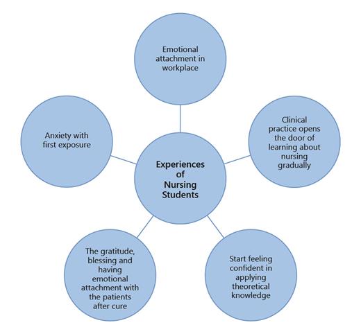 Perception and Experiences of Undergraduate Nursing Students on ...