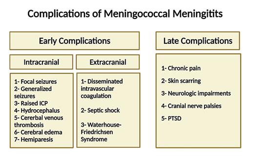 Up-to-Date Review of Meningococcal Meningitis: Global Challenges and ...