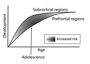 The Developmental Mismatch in Structural Brain Maturation during ...