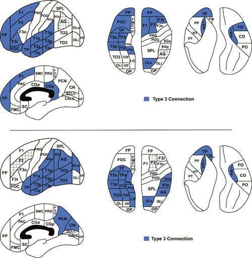 A Proposed Human Structural Brain Connectivity Matrix in the Center for ...