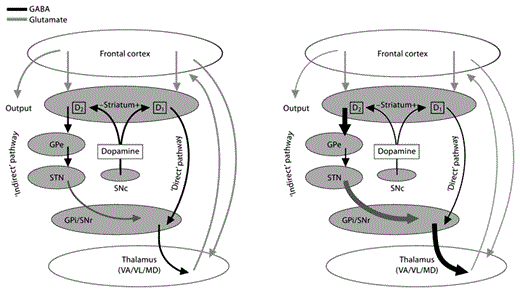 Levodopa: Past, Present, and Future | European Neurology | Karger ...