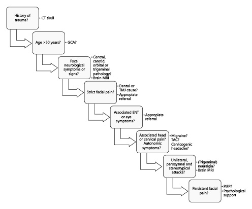 Facial Pain: A Comprehensive Review and Proposal for a Pragmatic ...