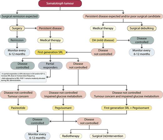 Diagnosis and Management of Acromegaly: A Consensus Statement of the ...