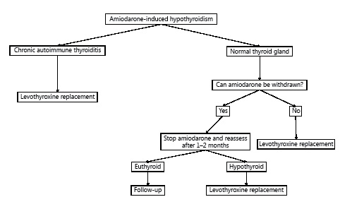 2018 European Thyroid Association (ETA) Guidelines for the Management of Amiodarone-Associated ...