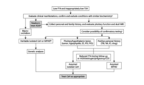 2018 European Thyroid Association (ETA) Guidelines on the Diagnosis and Management of Central ...