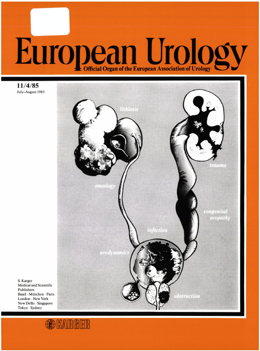 Renal Pelvis Reconstruction with a Free Peritoneal Patch | European ...