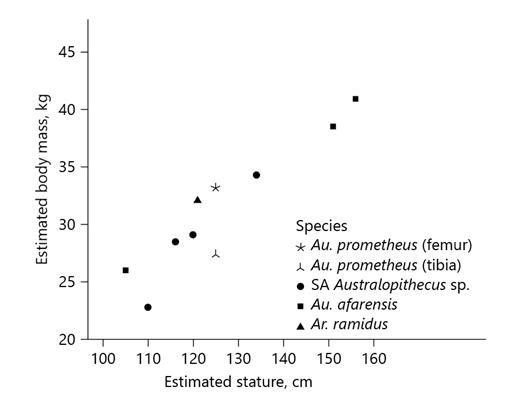 StW 573 Australopithecus prometheus: Its Significance for an ...