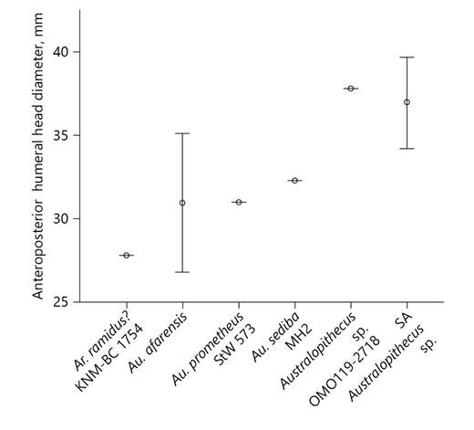 StW 573 Australopithecus prometheus: Its Significance for an ...