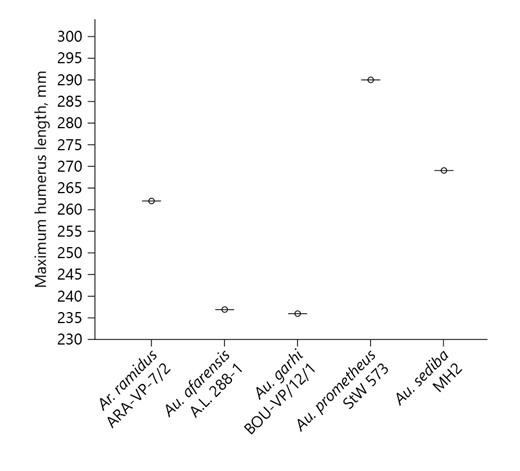 StW 573 Australopithecus prometheus: Its Significance for an ...