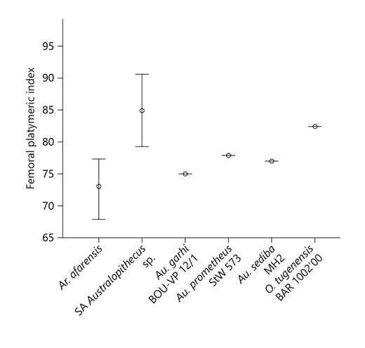 StW 573 Australopithecus prometheus: Its Significance for an ...