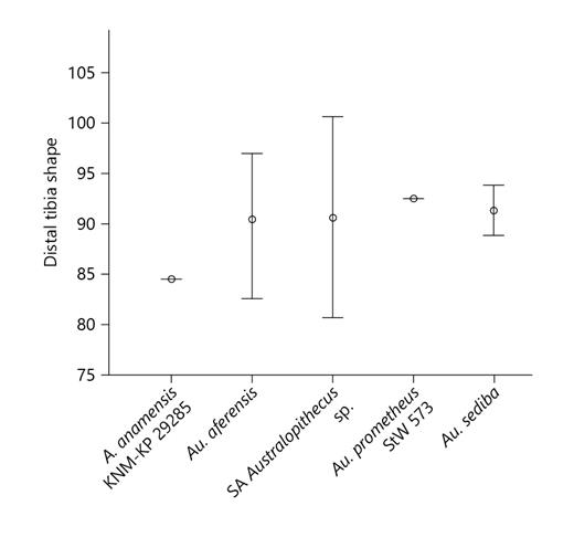 StW 573 Australopithecus prometheus: Its Significance for an ...