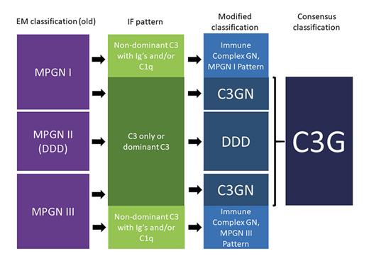 C3 Glomerulopathy: A Review with Emphasis on Ultrastructural Features ...