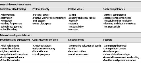 Toward an Integrative Paradigm of Positive Youth Development ...