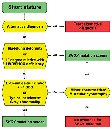 Short Stature due to SHOX Deficiency: Genotype, Phenotype, and Therapy ...