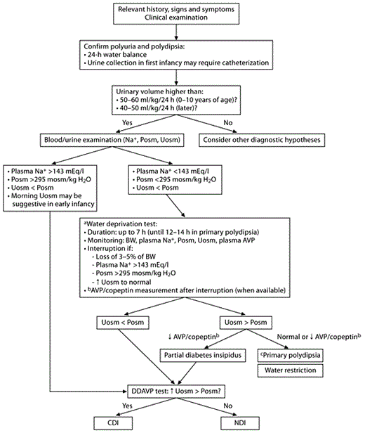Diabetes Insipidus – Diagnosis and Management | Hormone Research in ...