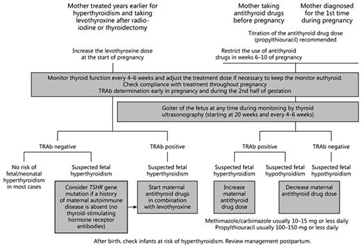 Management of Fetal and Neonatal Graves' Disease | Hormone Research in ...