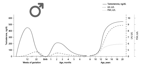 Minipuberty: Why Does it Happen? | Hormone Research in Paediatrics ...