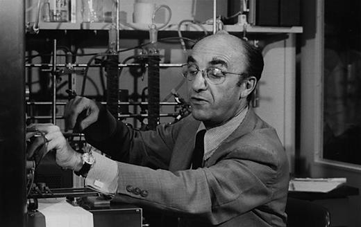 History of Puberty: Normal and Precocious | Hormone Research in ...