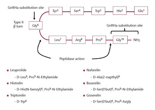 History of Puberty: Normal and Precocious | Hormone Research in ...