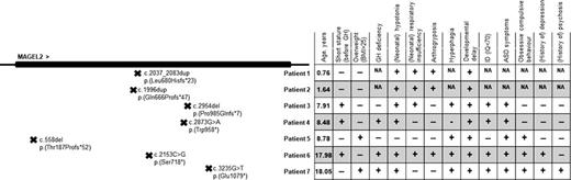 Schaaf-Yang Syndrome: Clinical Phenotype and Effects of 4 years of ...