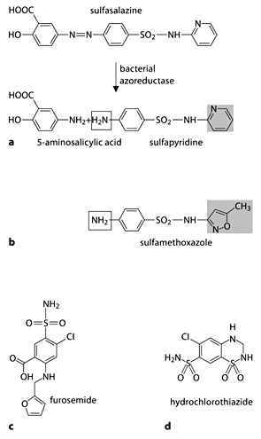 Cross-Reactivity in Drug Hypersensitivity Reactions to Sulfasalazine ...