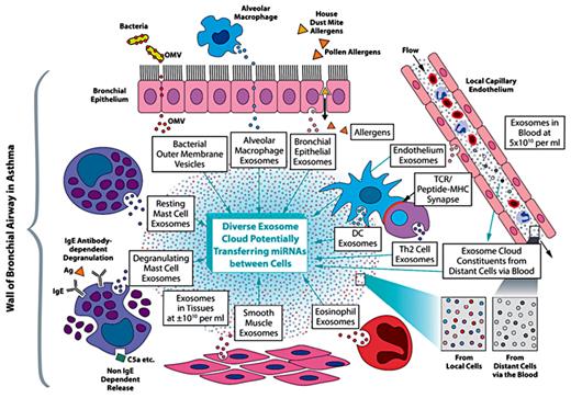 Functions of Exosomes and Microbial Extracellular Vesicles in Allergy ...