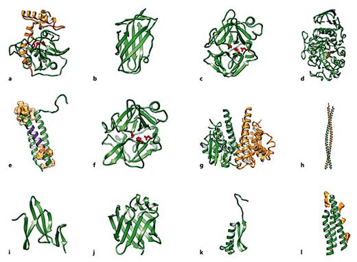 Allergens of Blomia tropicalis: An Overview of Recombinant Molecules ...