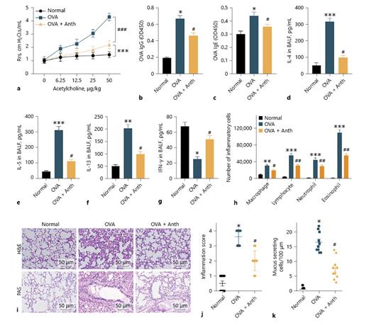 Anthocyanins Inhibit Airway Inflammation by Downregulating the NF-κB ...
