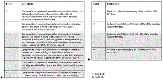 Improving the Evaluation of Collateral Circulation by Multiphase ...
