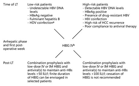 Prevention of Hepatitis B Virus Reinfection in Liver Transplant ...