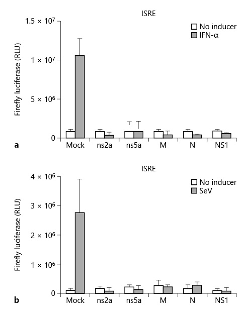 Effect of Human Coronavirus OC43 Structural and Accessory Proteins on ...