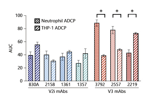 Primary Human Neutrophils Exhibit a Unique HIV-Directed Antibody ...