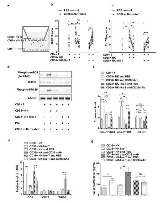 T-Cell Immune Imbalance in Rheumatoid Arthritis Is Associated with ...