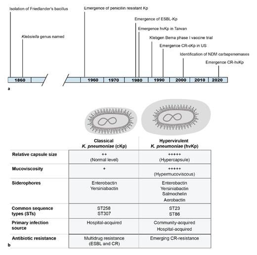 Innate Host Defense against Klebsiella pneumoniae and the Outlook for ...