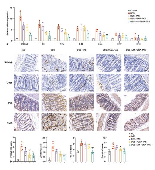 Macrophage-Biomimetic Nanoparticles Ameliorate Ulcerative Colitis through Reducing Inflammatory ...