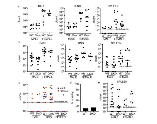 The Capsule of Acinetobacter baumannii Protects against the Innate ...