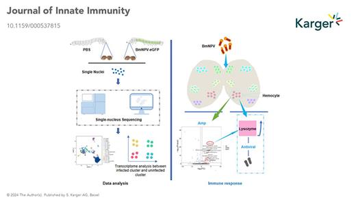 Single-Nucleus Sequencing of Silkworm Larval Brain Reveals the Key Role ...