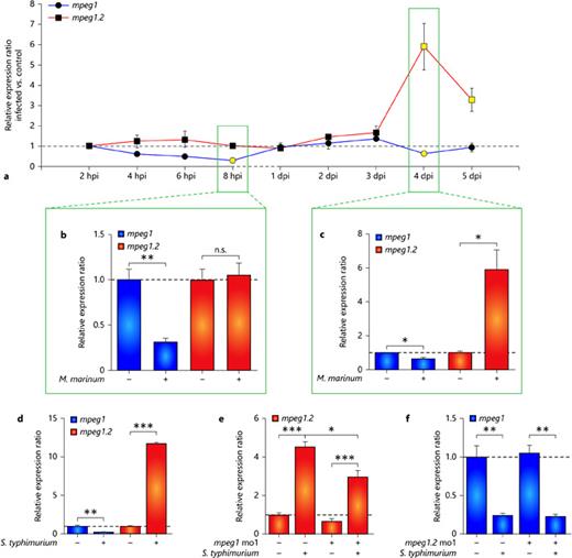 Macrophage-Expressed Perforins Mpeg1 and Mpeg1.2 Have an Anti-Bacterial ...